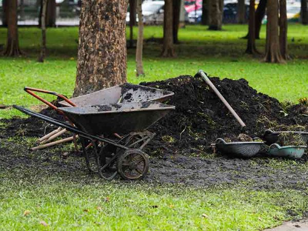 Goedkope container Amsterdam - Paridon Containers